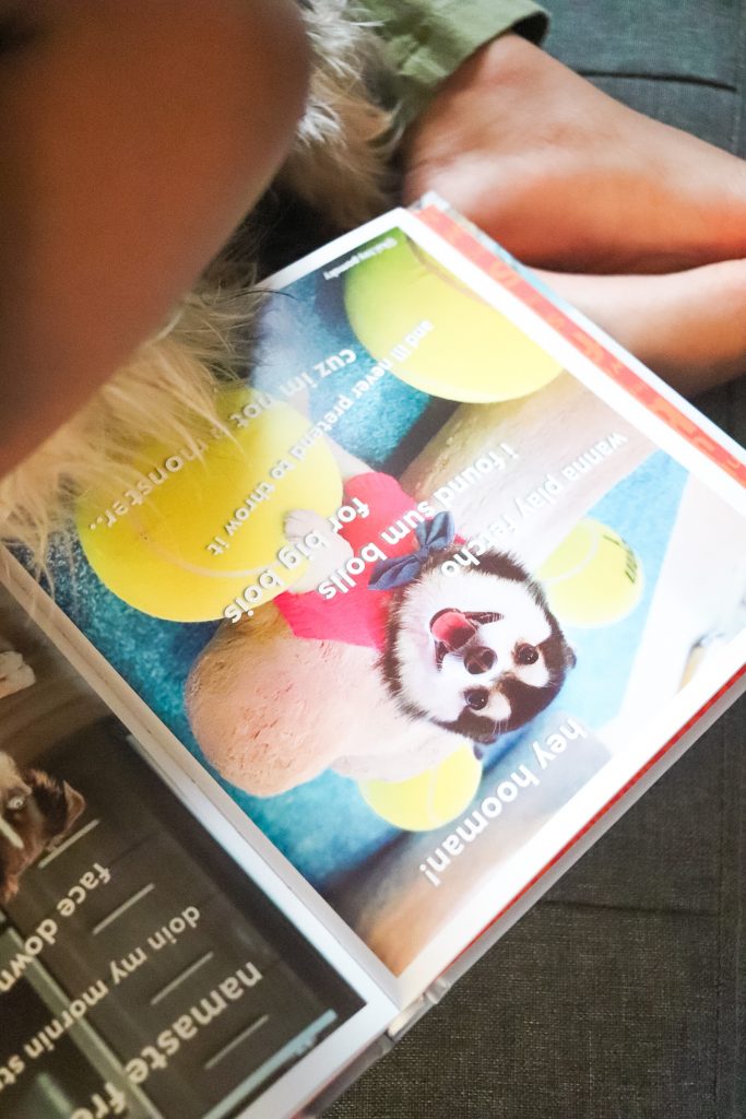 6 ways to spoil your pup with Babblebox. - Porsha Carr Blog