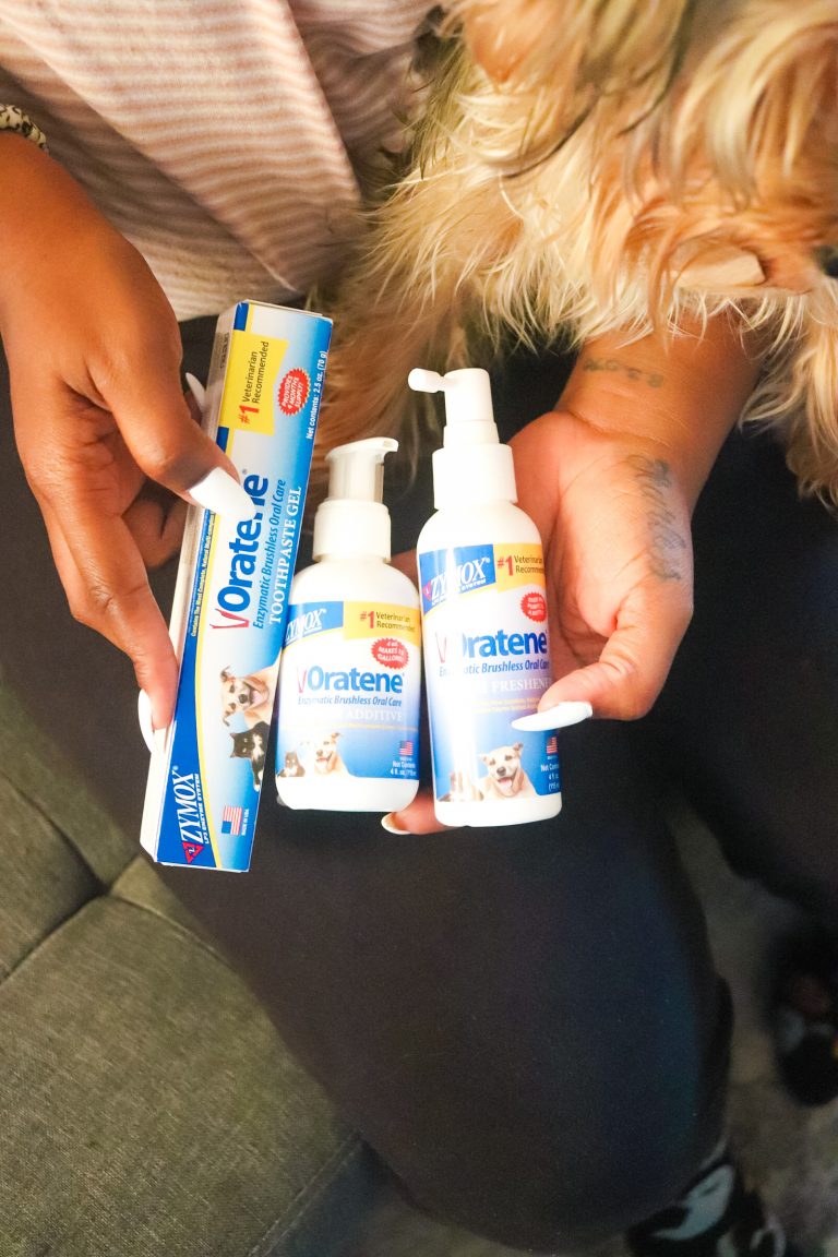 6 ways to spoil your pup with Babblebox. - Porsha Carr Blog