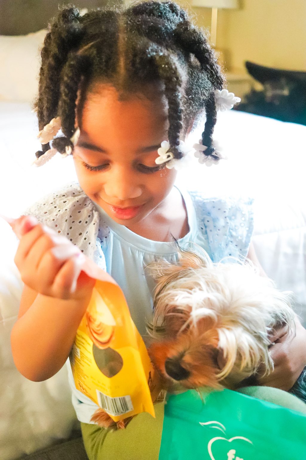 6 ways to spoil your pup with Babblebox. - Porsha Carr Blog