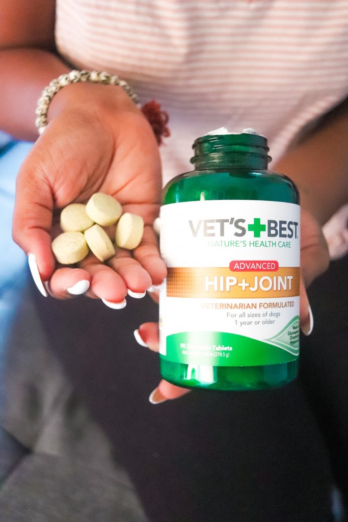 6 ways to spoil your pup with Babblebox. - Porsha Carr Blog