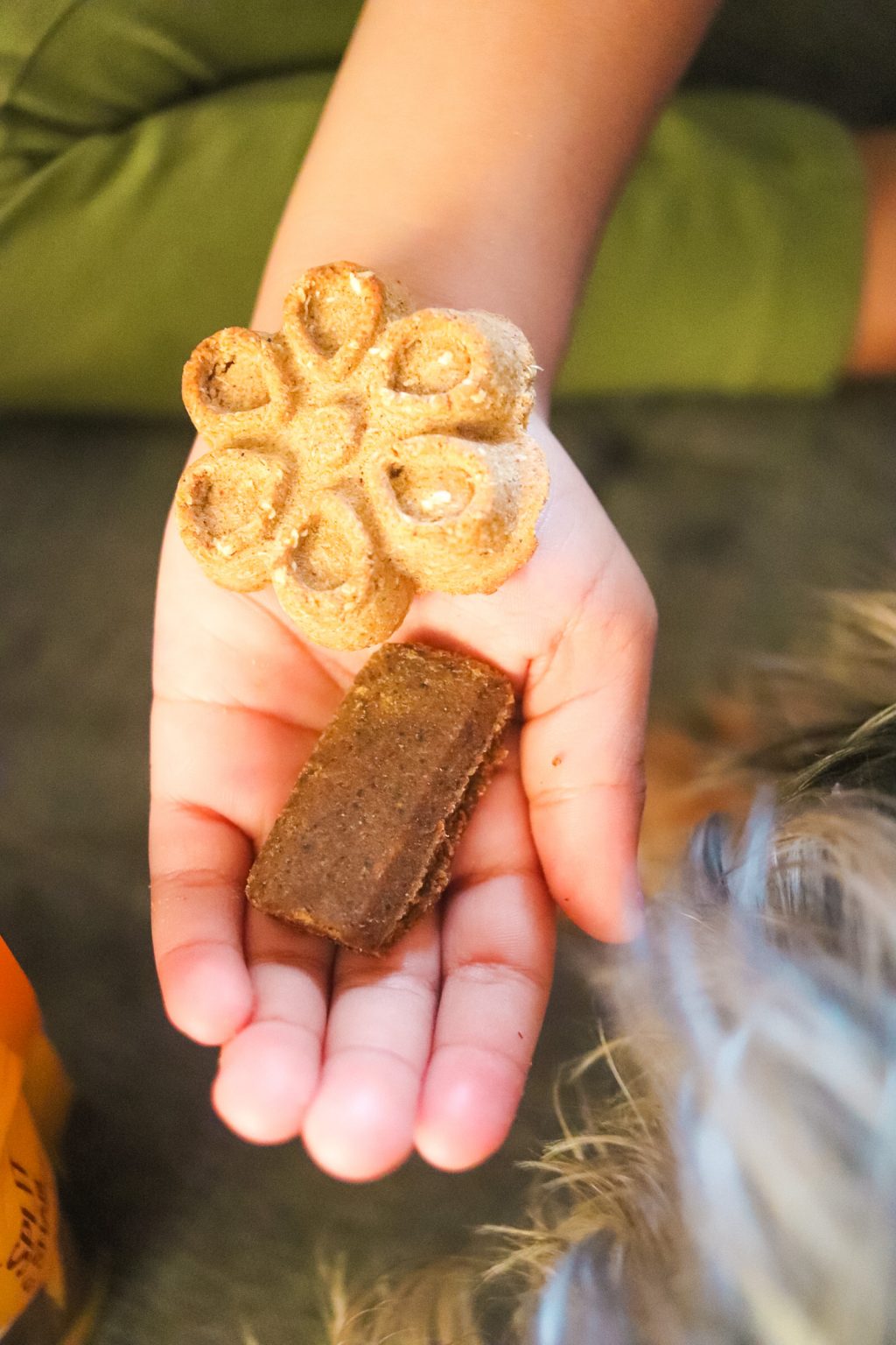 6 ways to spoil your pup with Babblebox. - Porsha Carr Blog