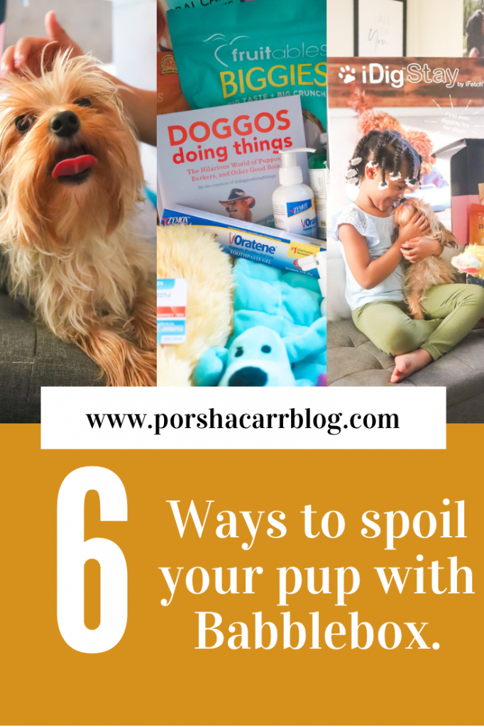 6 ways to spoil your pup with Babblebox. - Porsha Carr Blog