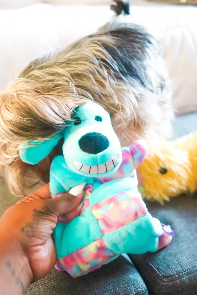 6 ways to spoil your pup with Babblebox. - Porsha Carr Blog